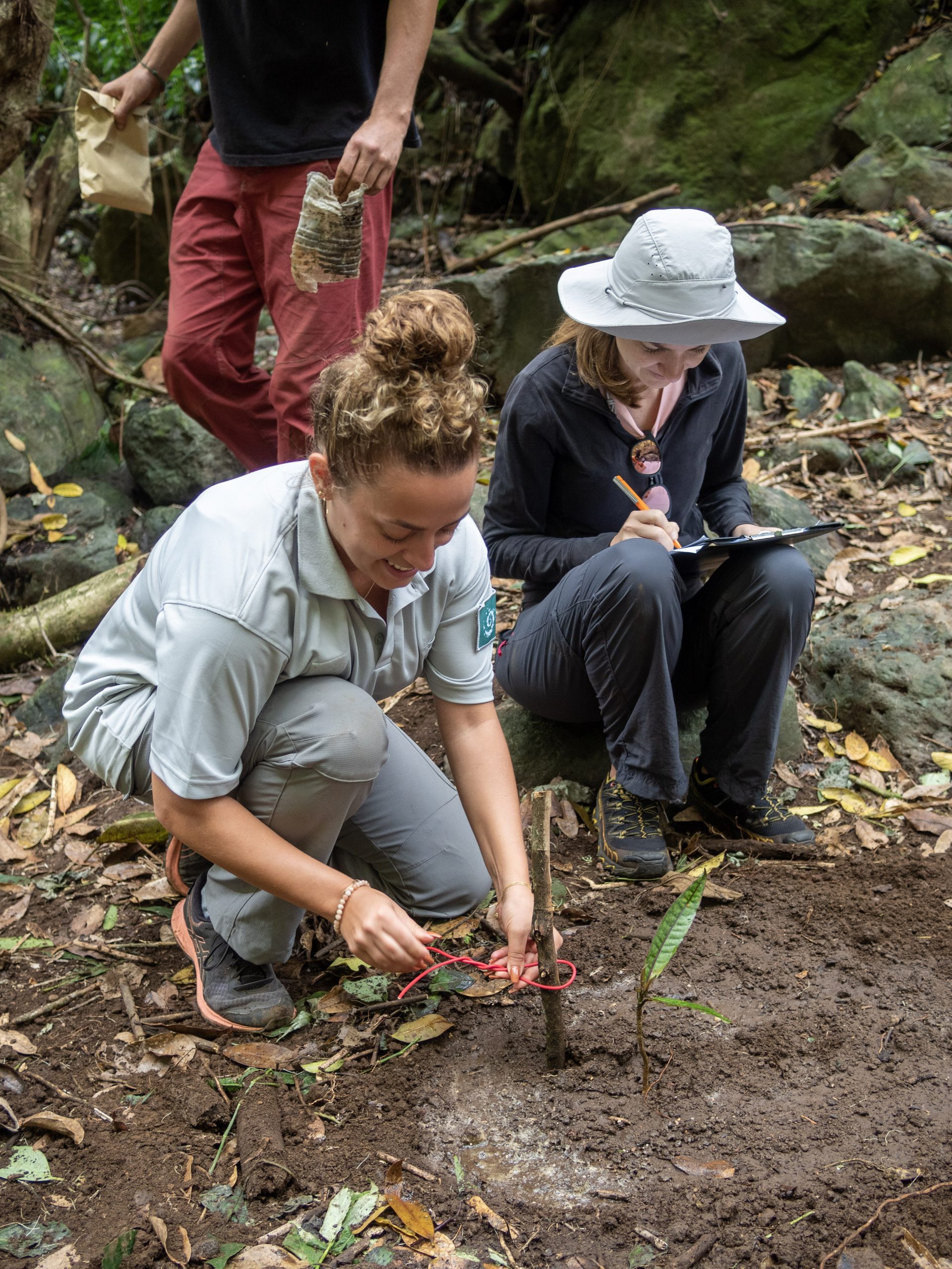 Conservatoire Botanique National – Centre permanent d’initiatives pour ...